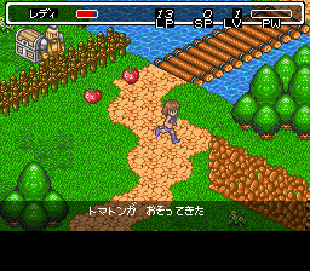 Lady Stalker SNES 38 | The King of Grabs