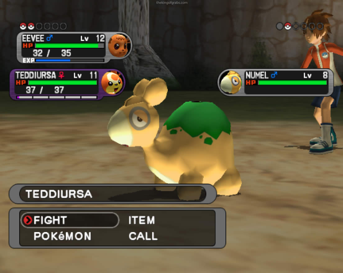 Pokemon XD Gale of Darkness GameCube 100 | The King of Grabs